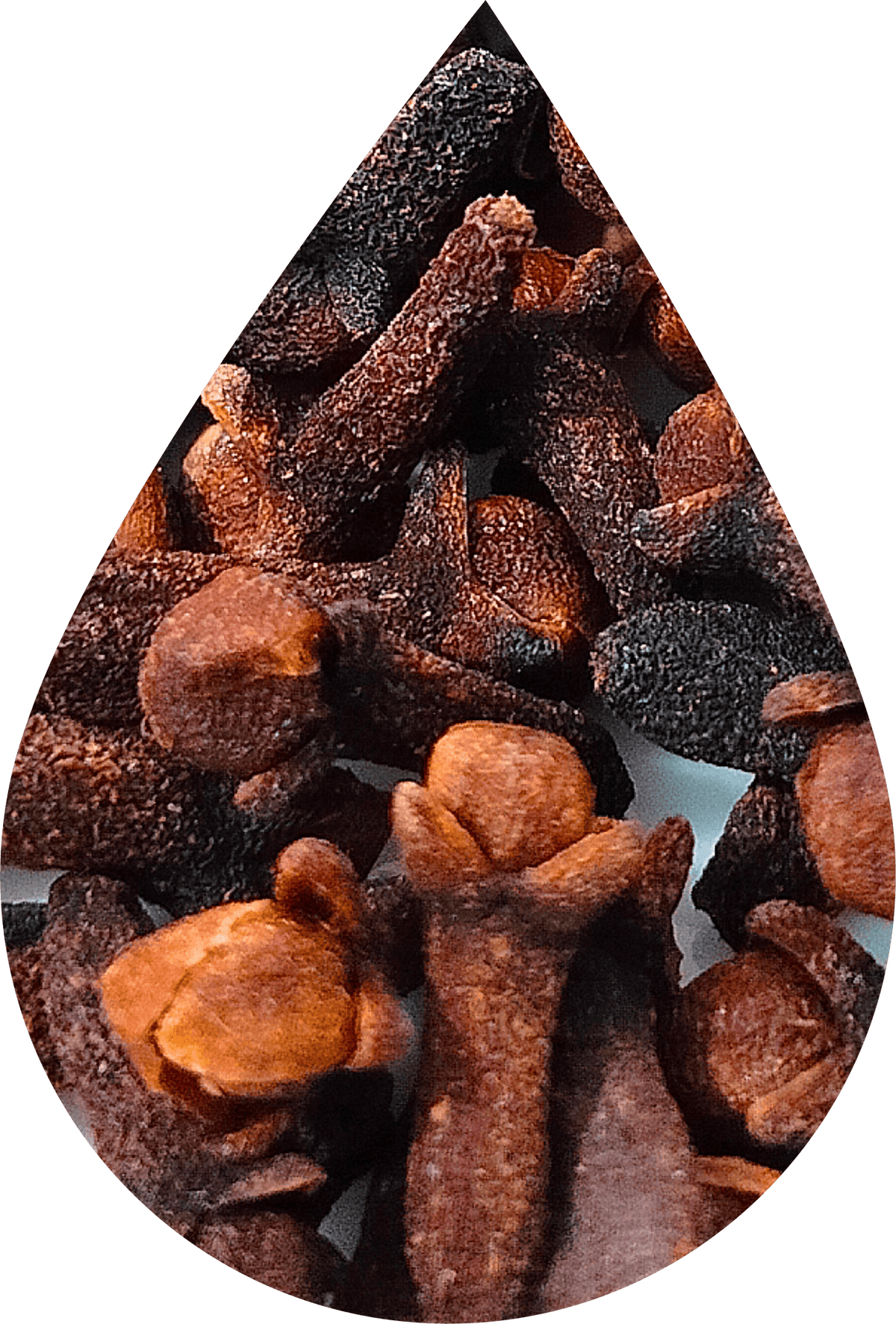 Mandarin, Orange, & Clove Natural Infusion Drop – Sipgood