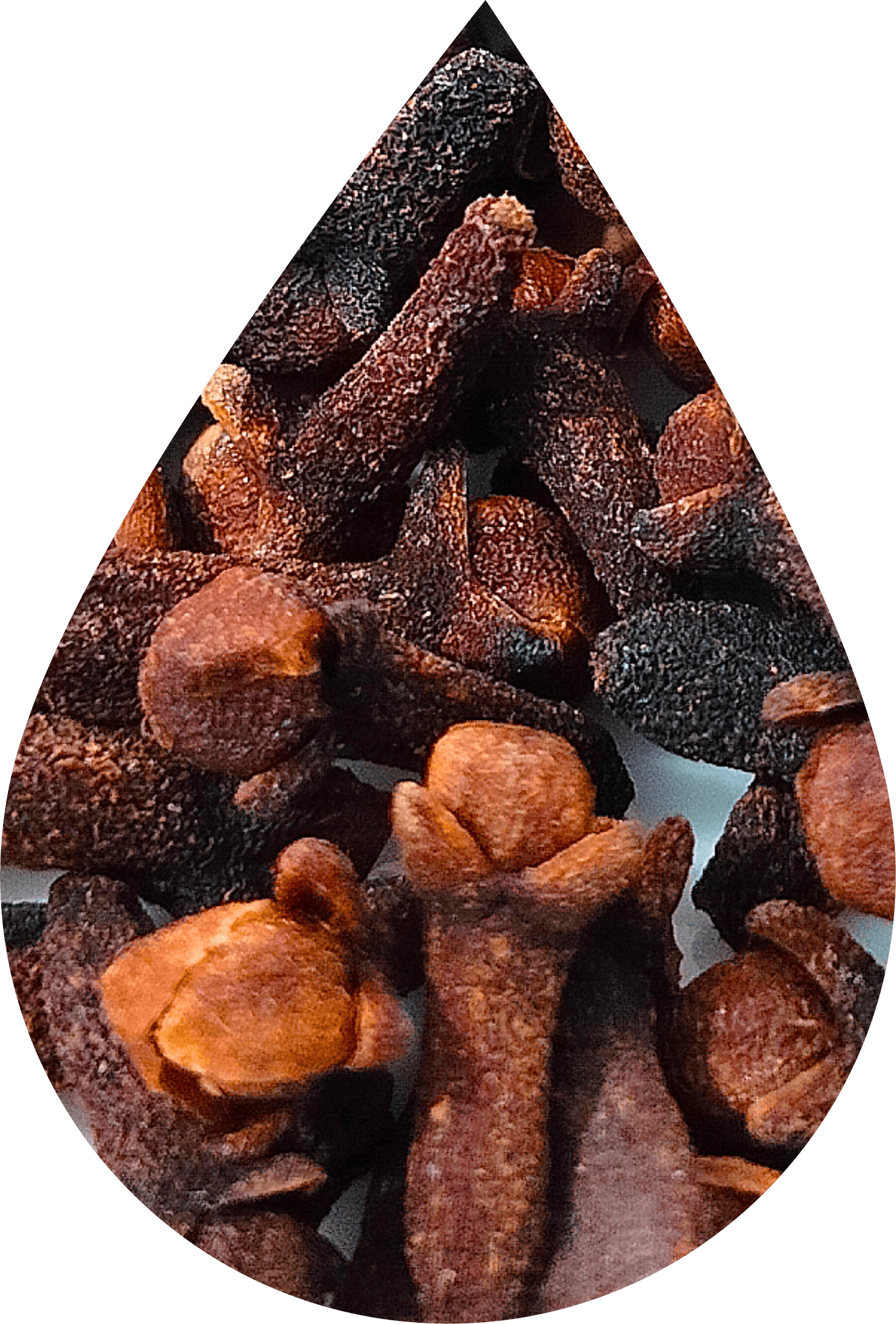 Mandarin, Orange, & Clove Natural Infusion Drop – Sipgood