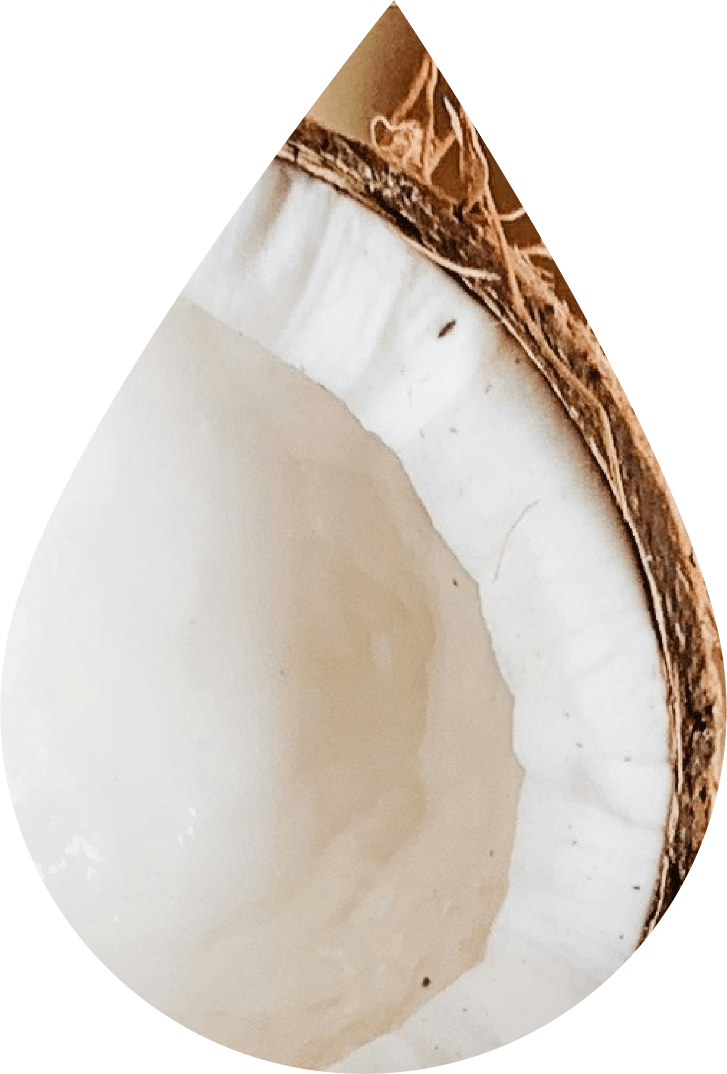 Coconut, Mango, & Passionflower Natural Infusion Drop – Sipgood