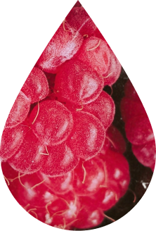 Raspberry, Elderberry, & Hibiscus Natural Infusion Drop – Sipgood