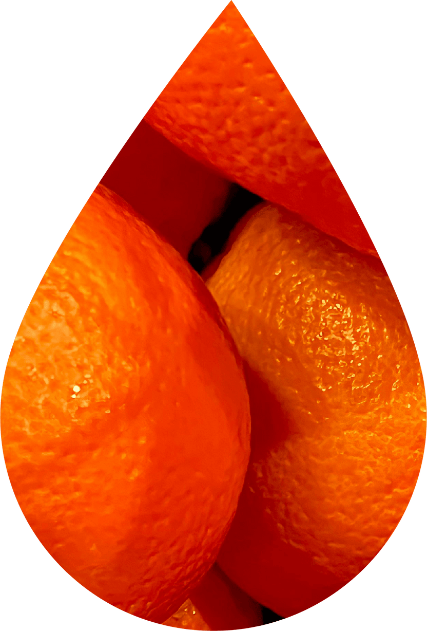 Mandarin, Orange, & Clove Natural Infusion Drop – Sipgood