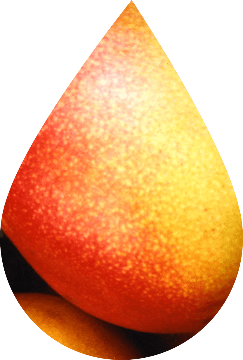 Coconut, Mango, & Passionflower Natural Infusion Drop – Sipgood